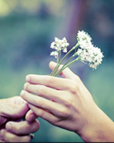 David Harrison BOOTH - Obituaries - Lamb & Hayward