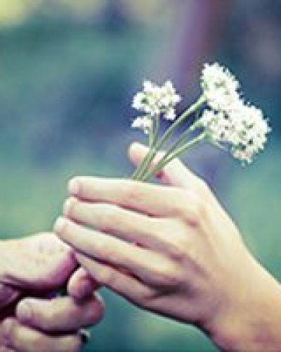 Alison Bligh MORGAN - Obituaries - Lamb & Hayward