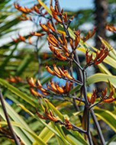 Neville John LUCAS - Obituaries - Lamb & Hayward